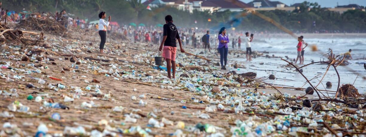 How Instagram will help clean up the oceans - Lectera Magazine